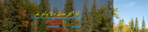 Introduction to Ilm ul-Balagha (Arabic Rhetoric) | Learn Arabic Online